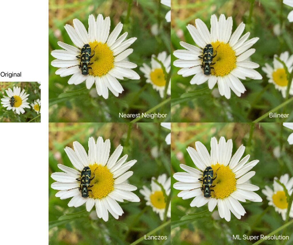 How to Upscale Old Images by Harnessing the Power of Machine Learning