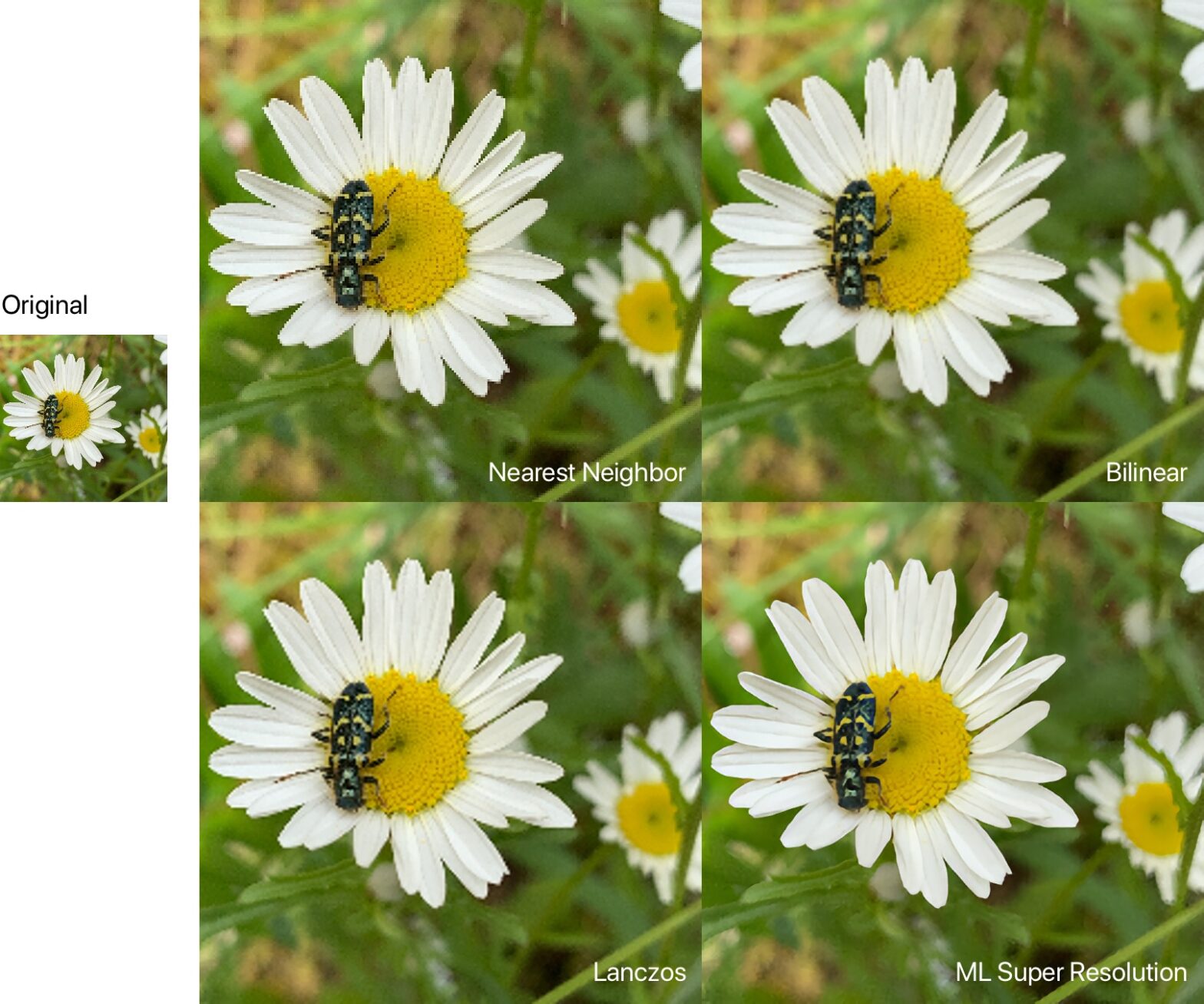 How to Upscale Old Images by Harnessing the Power of Machine Learning